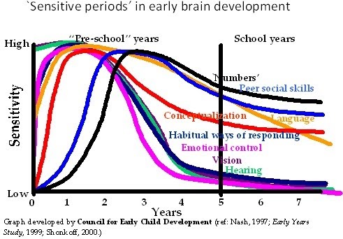 A Graph A Day: Brain Development