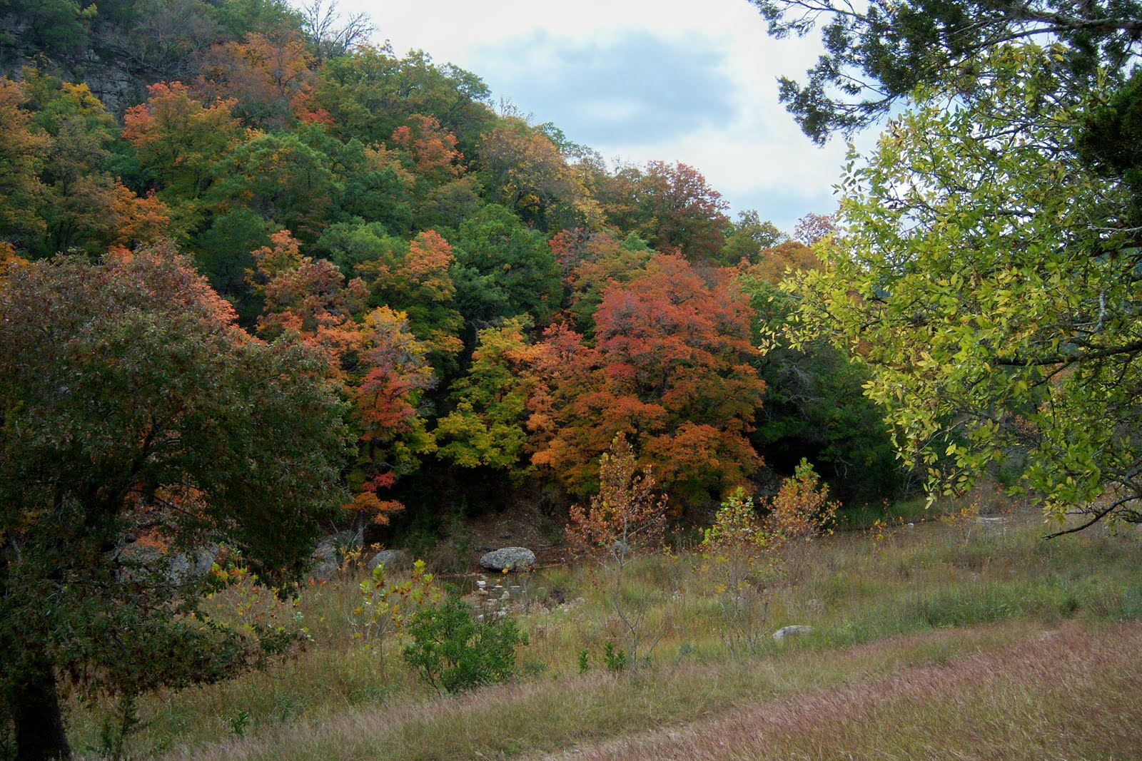 Backroads with Barb and Bill: Lost Maples State Natural Area, TX Nov.11 ...