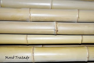 Bambu Show Brasil: Bambu tratado