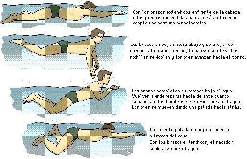 Natación y sus Técnicas: ...Estilo Braza o Pecho...