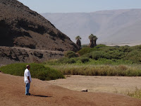 Codpa Valley Lodge - Altiplano ( Arica - Chile): Excursiones