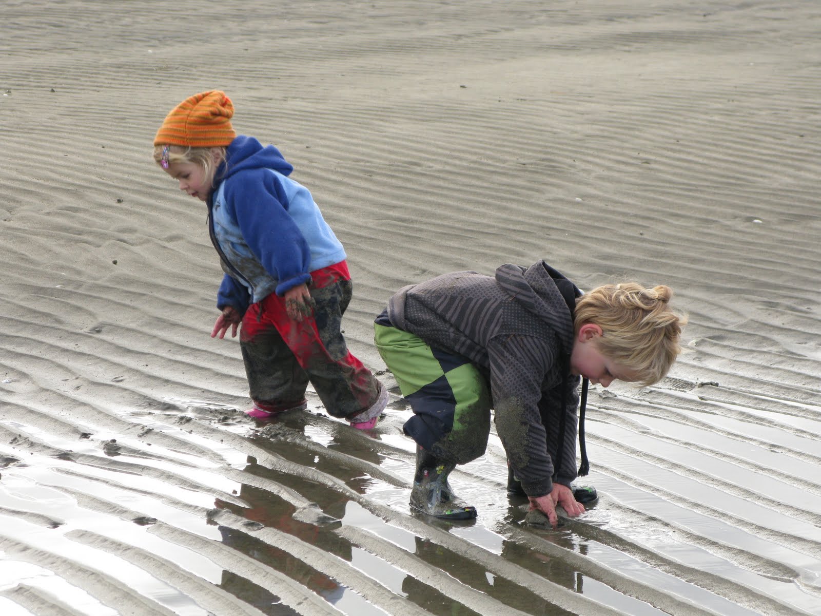 manysmalldots: wet sand