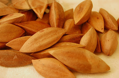 The Nature's Market: Pili Nut