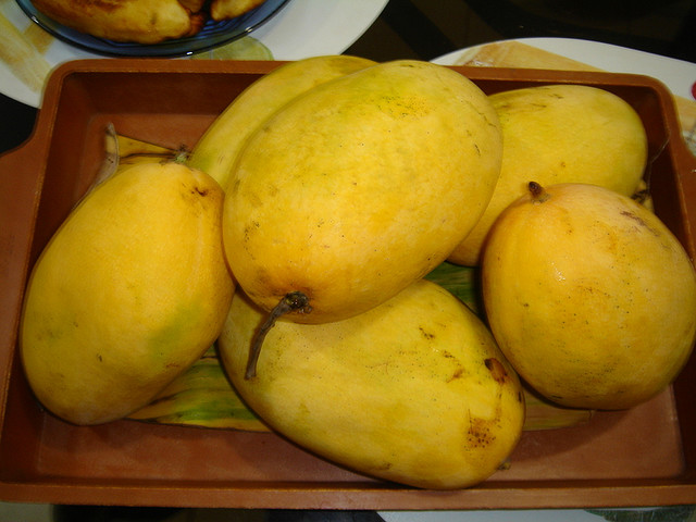 The Nature's Market: Philippine Mangoes, Mango Chips, Sun-Dried Mangoes
