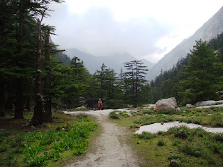 A Protest of Romance: Gangotri