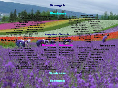 I Empower Myself: Personality Temperament Blends