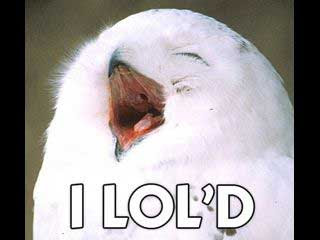 Meme: ORLY OWL (Coruja "O RLY?")
