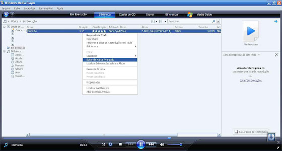 Windows Media Player 11: Como visualizar letras de música offline