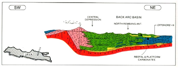 Gora's blog: Petroleum Geology of Cepu Area, Central Java, Indonesia
