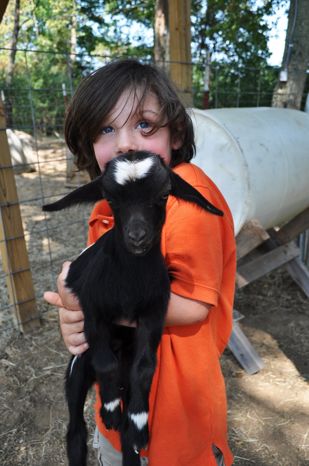 ☮ur Tribe: Purdy's Petting Zoo