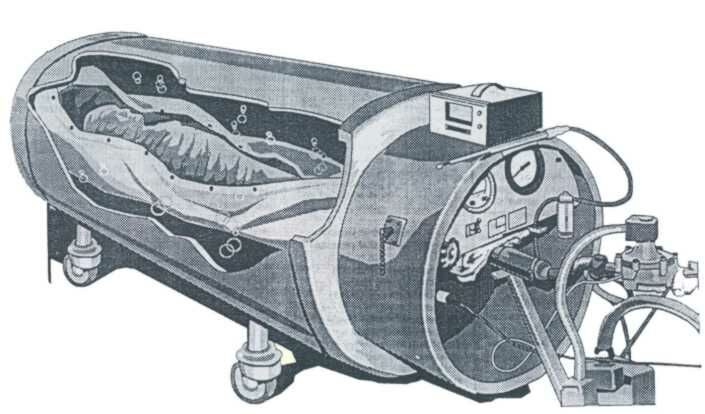 Virtual Koen: La criogenesis