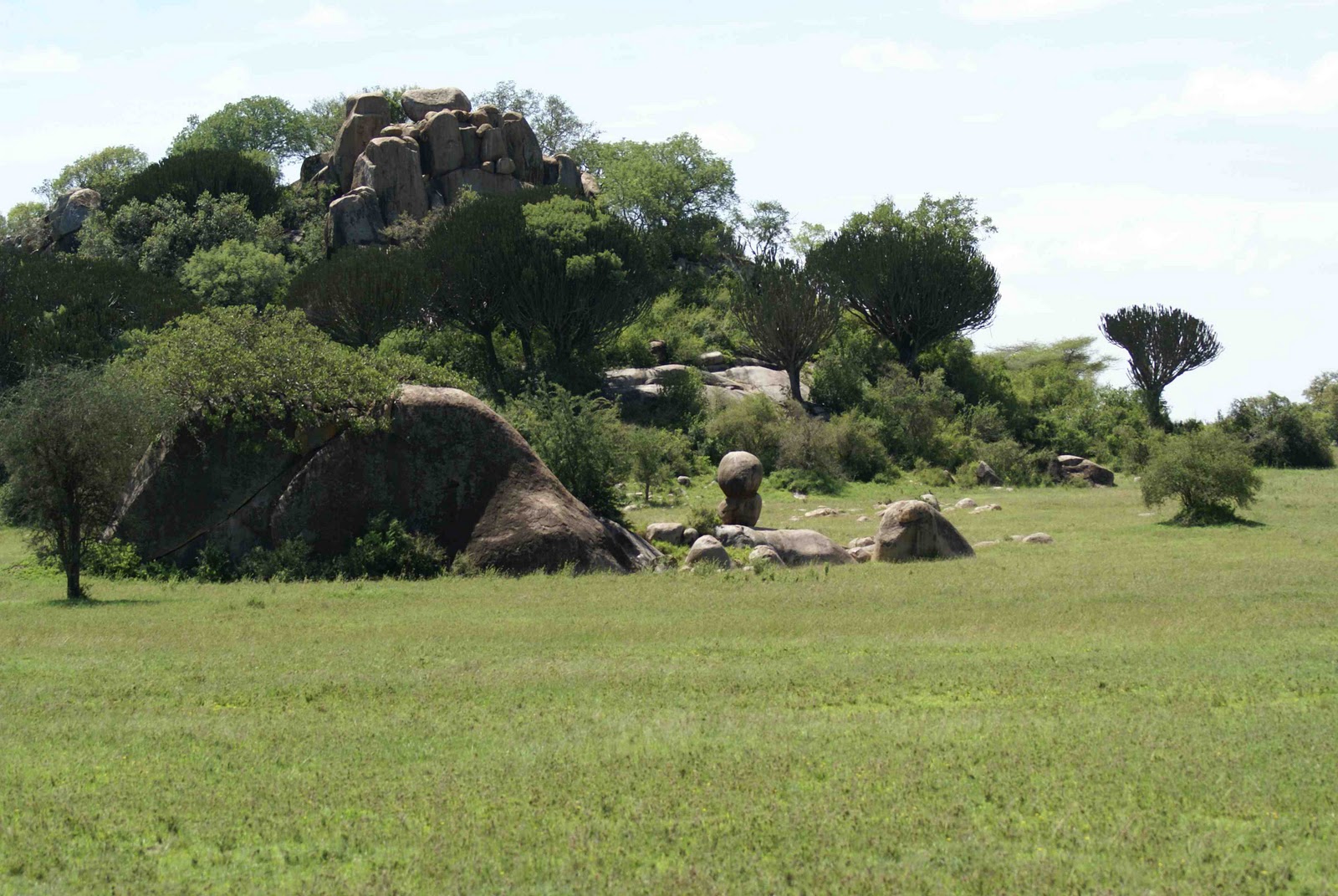 Safari 2011: Dunia and Moru Kopjes