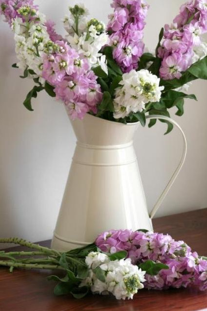 Brabourne Farm: Love .... Flowers in White Jugs