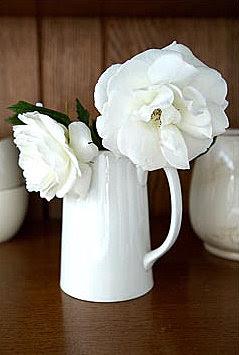 Brabourne Farm: Love .... Flowers in White Jugs