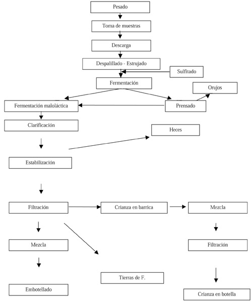 Vinos: Elaboración del vino tinto