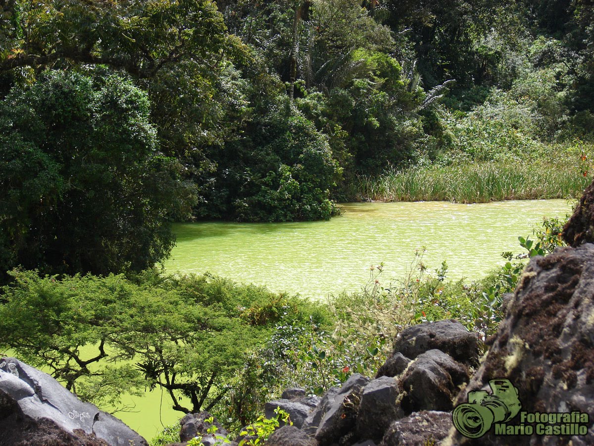 Lente Sandoneño: LAGUNA VERDE - VOLCAN GALERAS