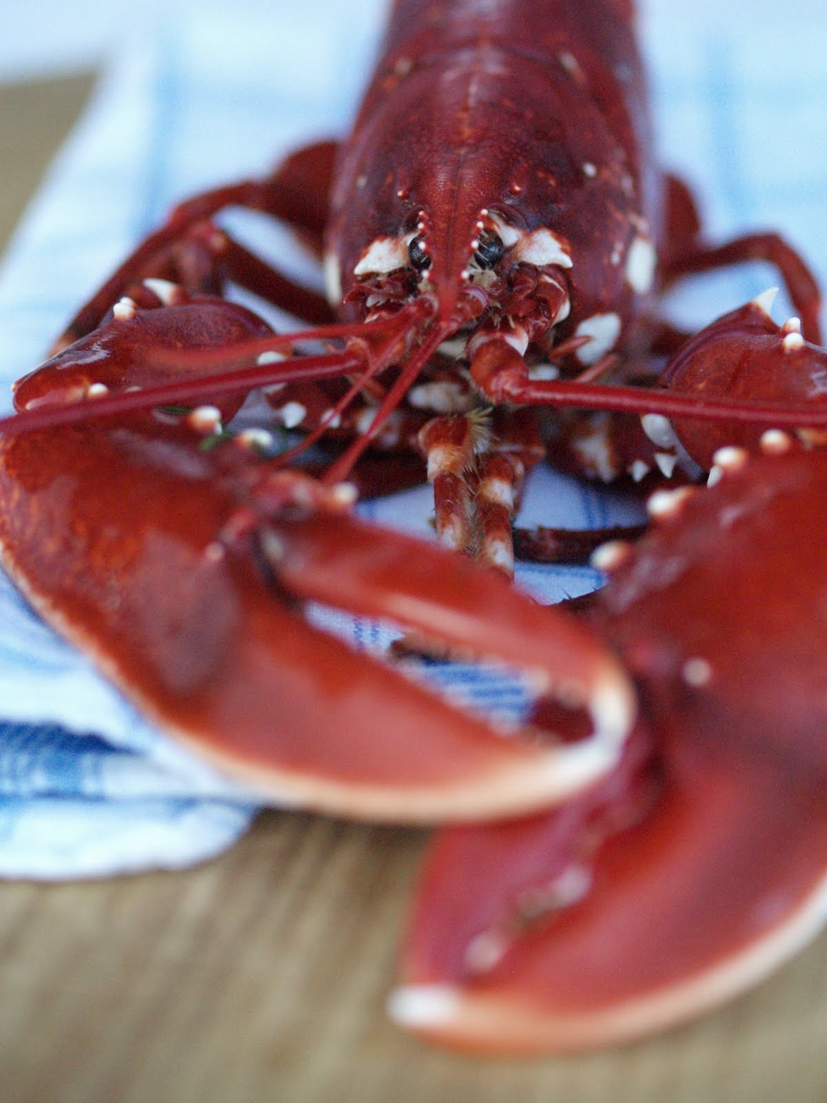 [kjøkkentjeneste]: Hvordan koke hummer og litt om nye juletradisjoner