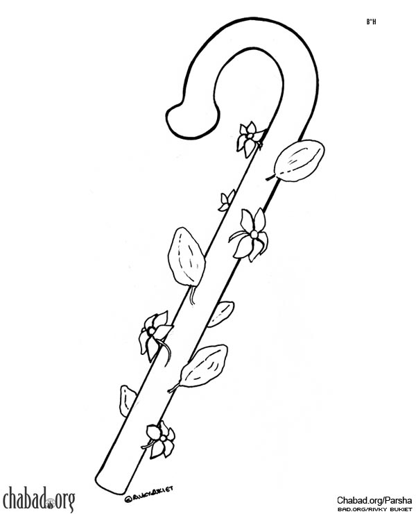 Recuperacion productiva: DIA 6. NÚMEROS 1-18.