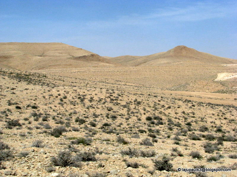 THROUGH THE LAND OF ISRAEL III: On the summit of Mount Ramon (1037 M ...