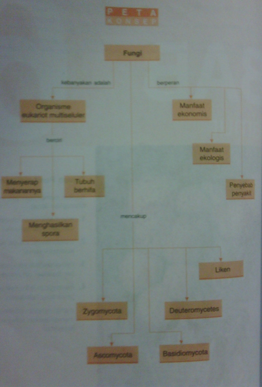 Biology: Bab 6: Jamur