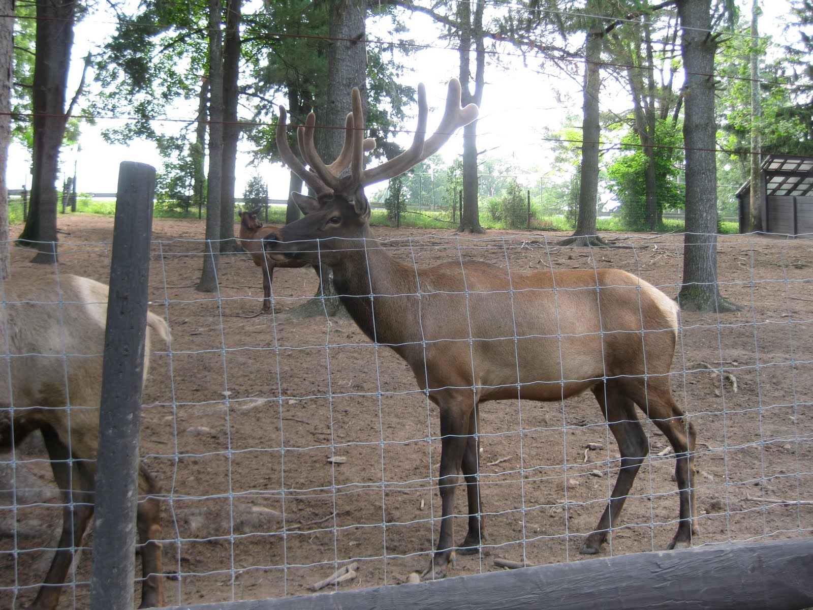 A Philly Family: Elmwood Park Zoo