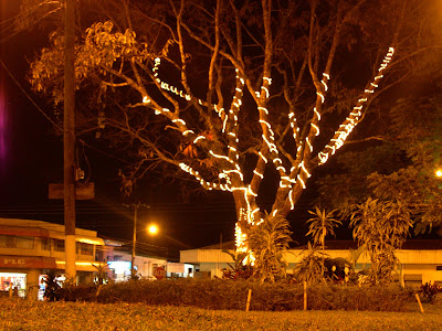 livecostarica: Christmas = Summer in San Ramon, Costa Rica