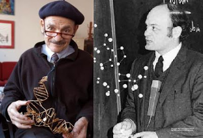 A Synthetic Environment: Top 5 molecular model DNA guys