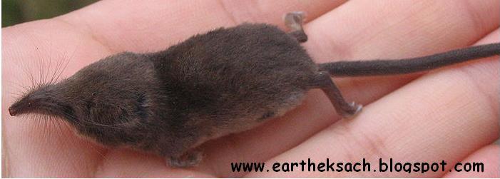 Earth.Ek.Sach: April 2010