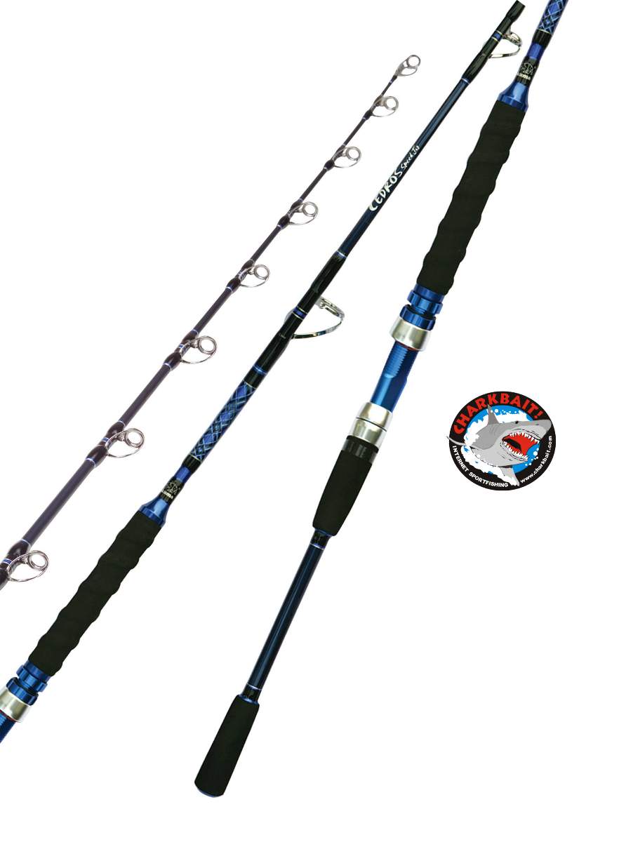 Praja Fishing: Joran Pancing