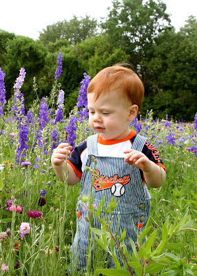 Conner Family Blog: Sam's 4th Birthday - Celebration of Life