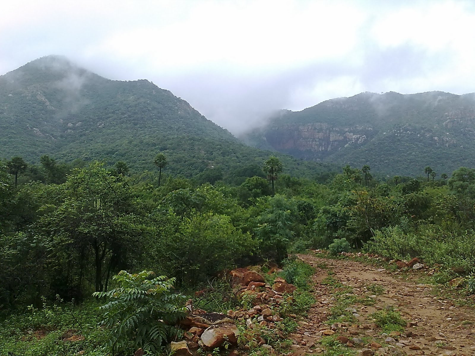 Running at the Back: Monsoon Trek, Tada Falls, Chennai, India