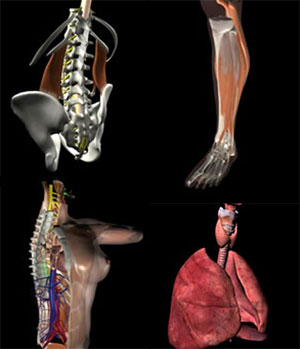 Norma Guadalupe Valera Bàez: Mundo Virtuales