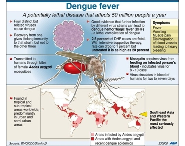 Dengue Alert