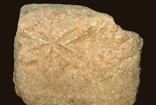 Alpendorada, Várzea e Torrão: História da Arte nas pedras de Alpendorada