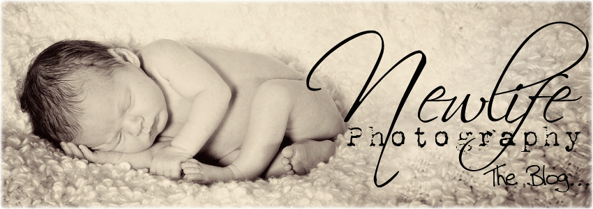 Newlife Photography- the blog: Lotus for Hope- Newlife Photography ...