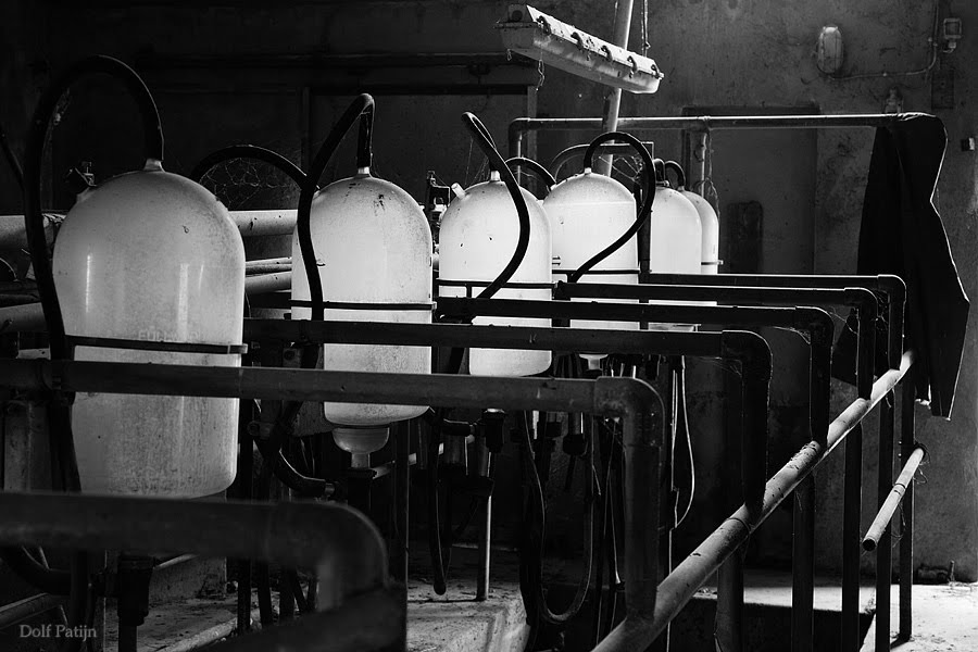 DigitalDolf Photography: In an old milking parlour