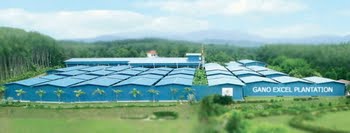 MAKE MONEY JUST A SIMPLE WAY