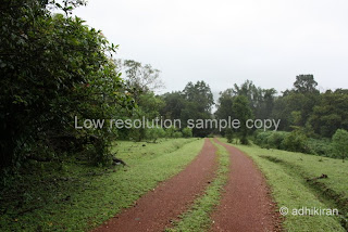 Travel India: Kudajadri hills (Kodachadri)