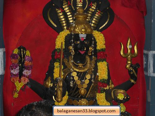MAARI AMMAN ~ GOD GALLERY