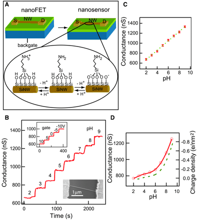 Cognition: Si NanoWire Biosensor