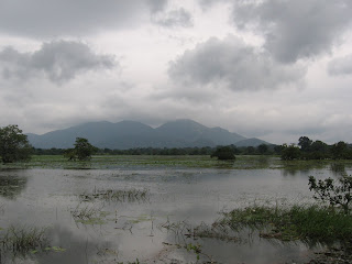 Lalith's Blog - Places in My Life