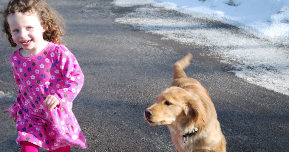 "Isabelle Thornton" Le Chateau des Fleurs: Garden