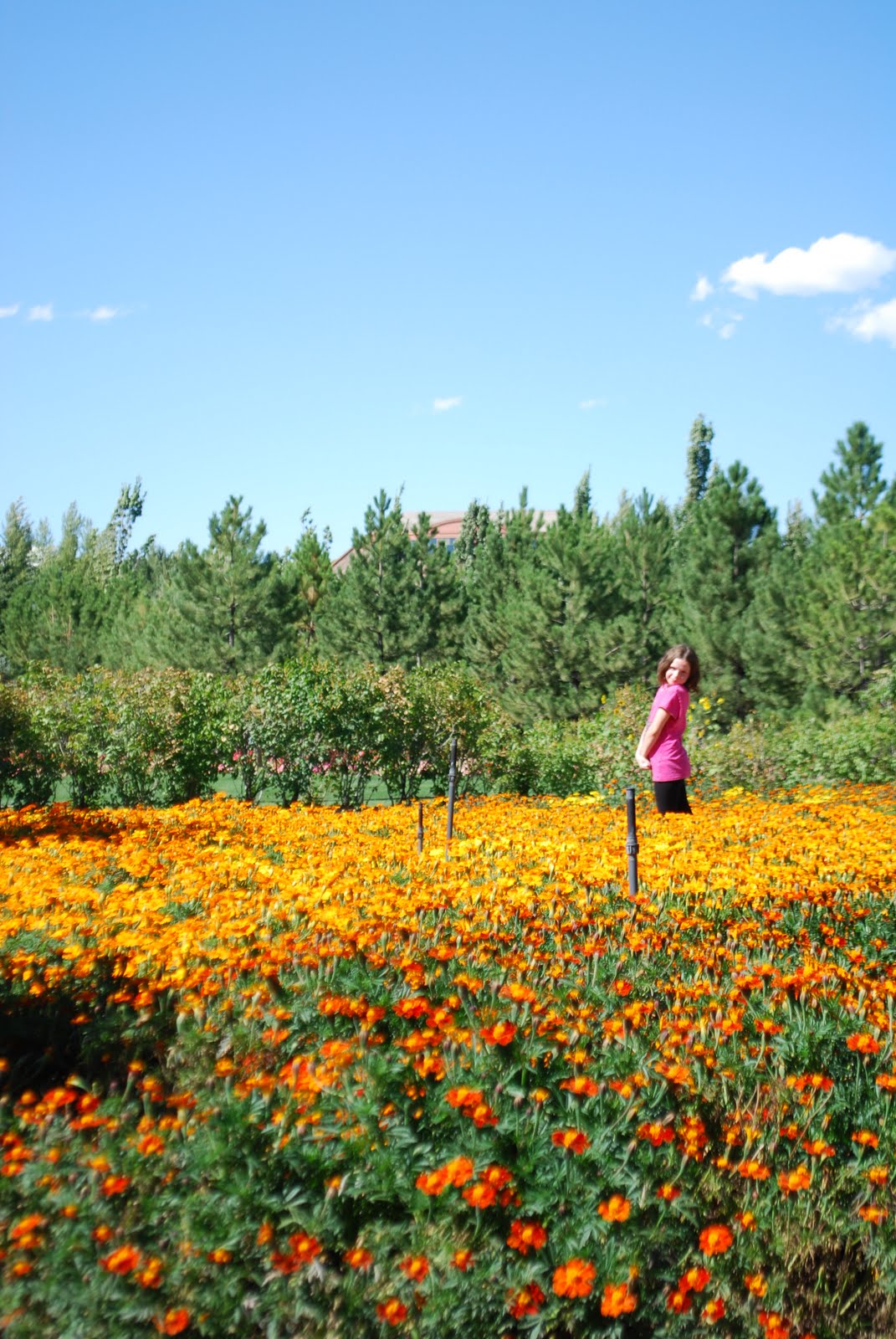 "Isabelle Thornton" Le Chateau des Fleurs: The secret Garden