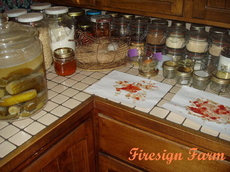 Firesign Farm: Sour Pickle Experiment