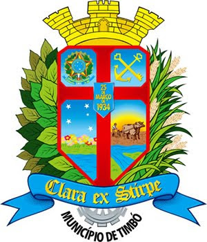 Museu do Banner: Brasão e Bandeira da cidade de Timbó - SC