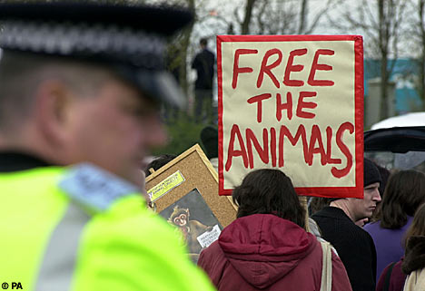 Vital Signs: A Closer Look at Animal Rights Organizations