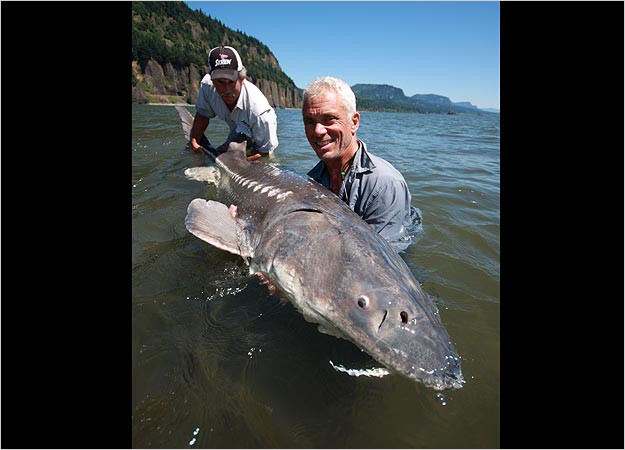 Message in bottle: RIVER MONSTERS