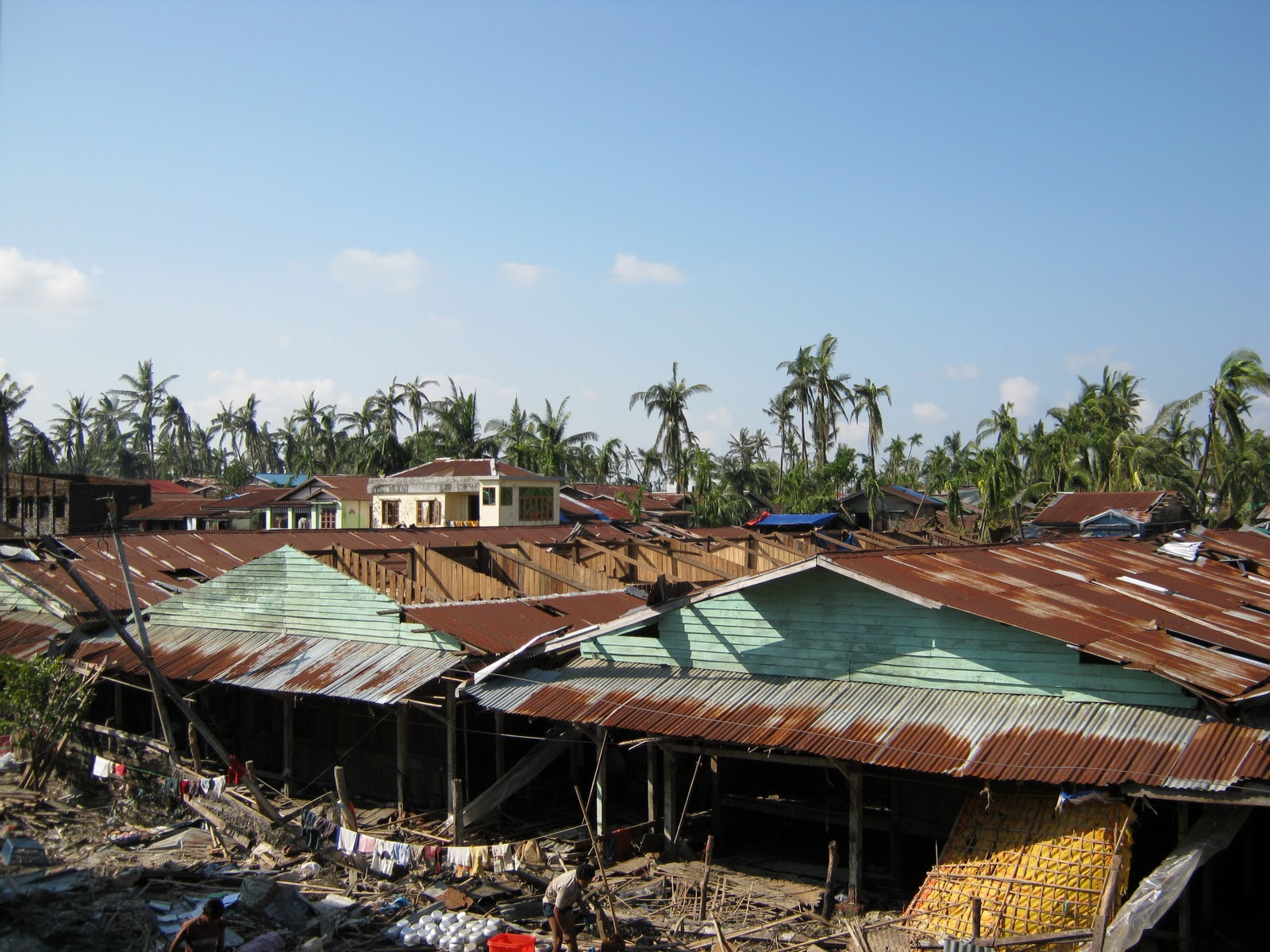 Let's Help the Victims in Arakan