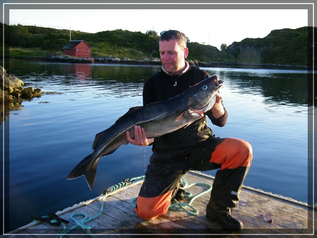 Insel Hitra Norwegen 2010: 7.Tag