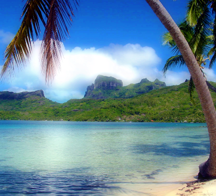 FRANÇAIS LAURA: L' été